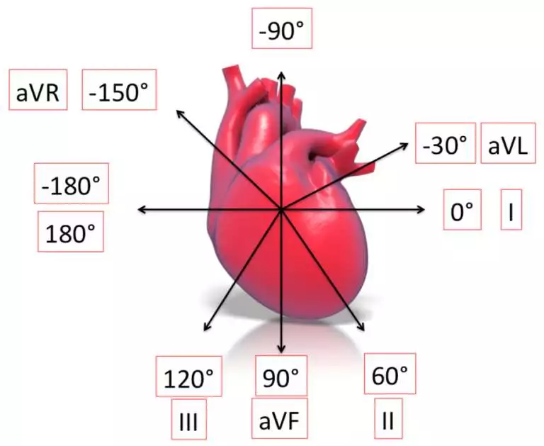 Eixo cardíaco no ECG: como identificar e fazer o cálculo
