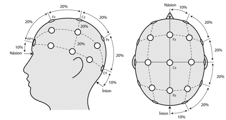 Sistema 10-20 no eletrocardiograma: como funciona?